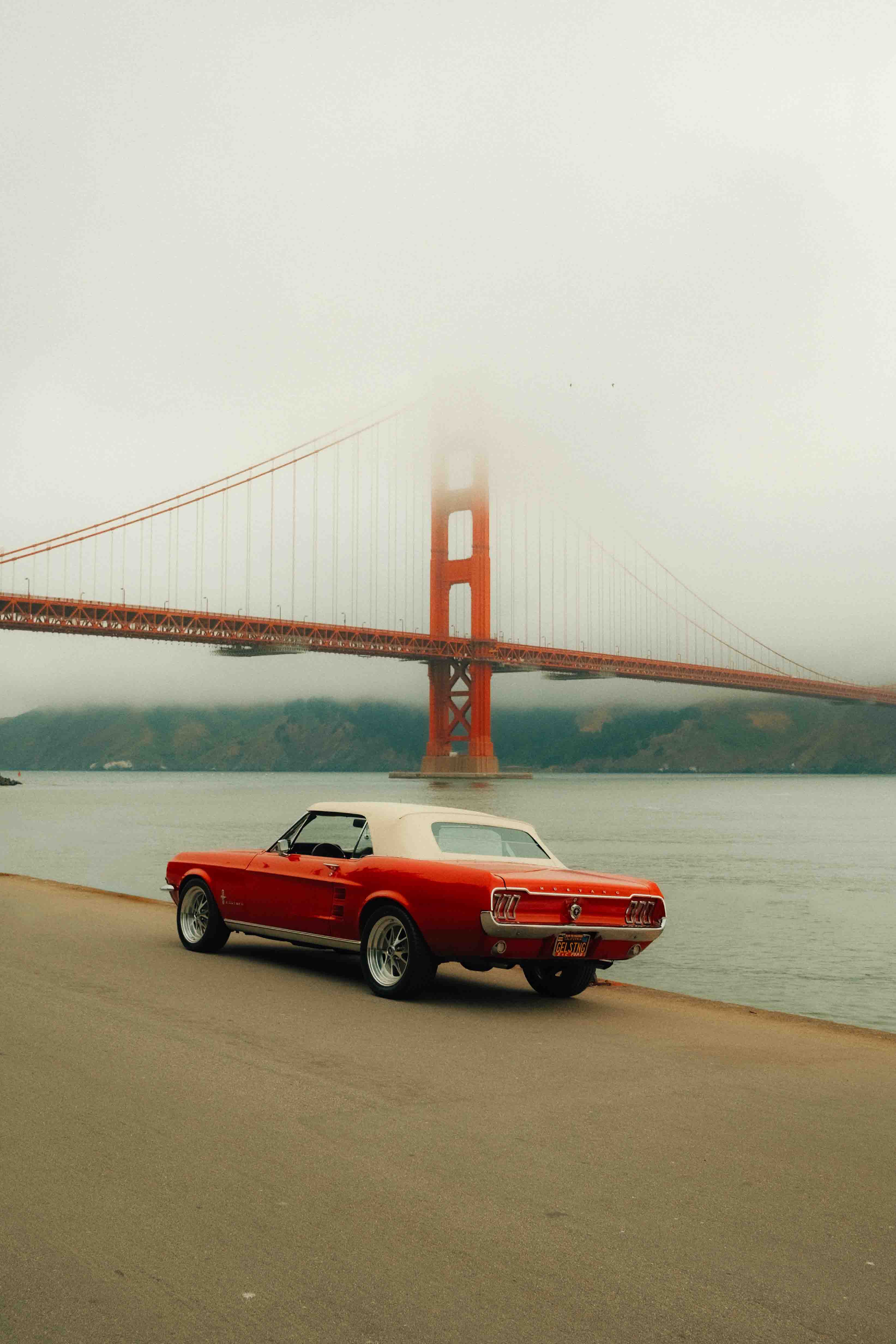 Golden Gate by Gelica Peralta | Style My Wall | Photography